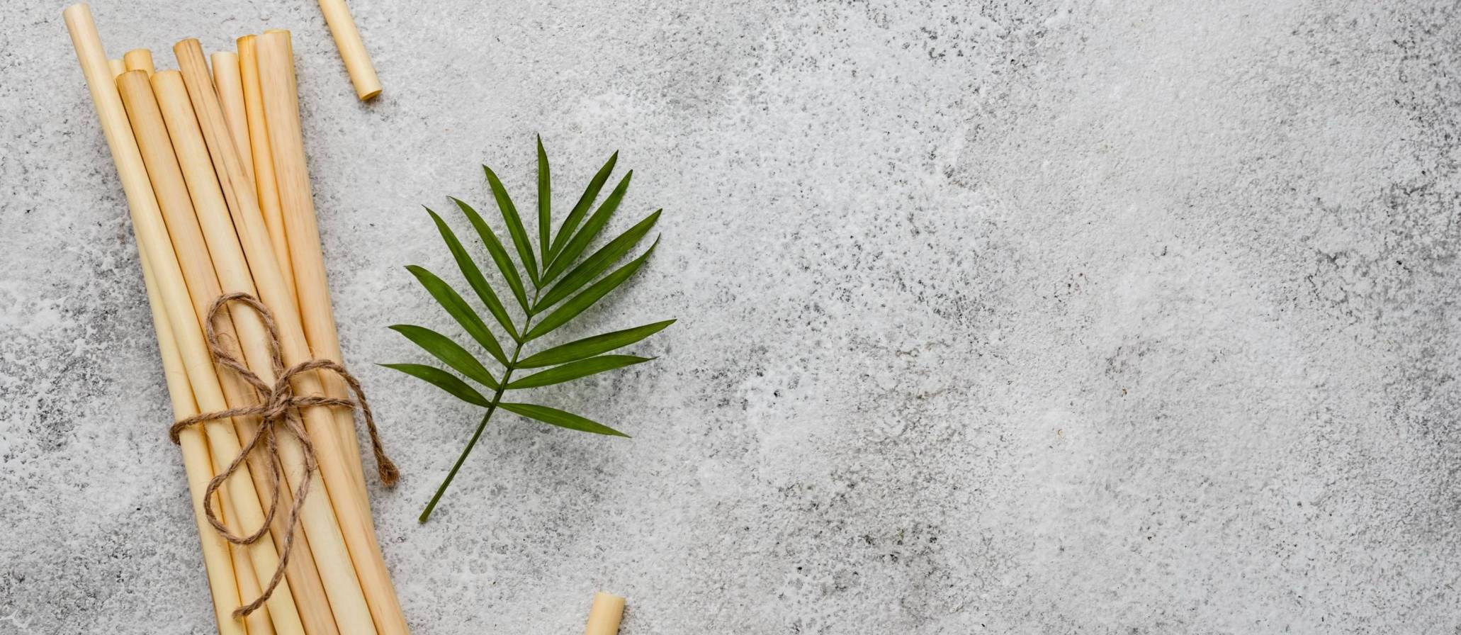 The Versatility and Benefits of Bamboo – Starlight Eco-friendly Shop